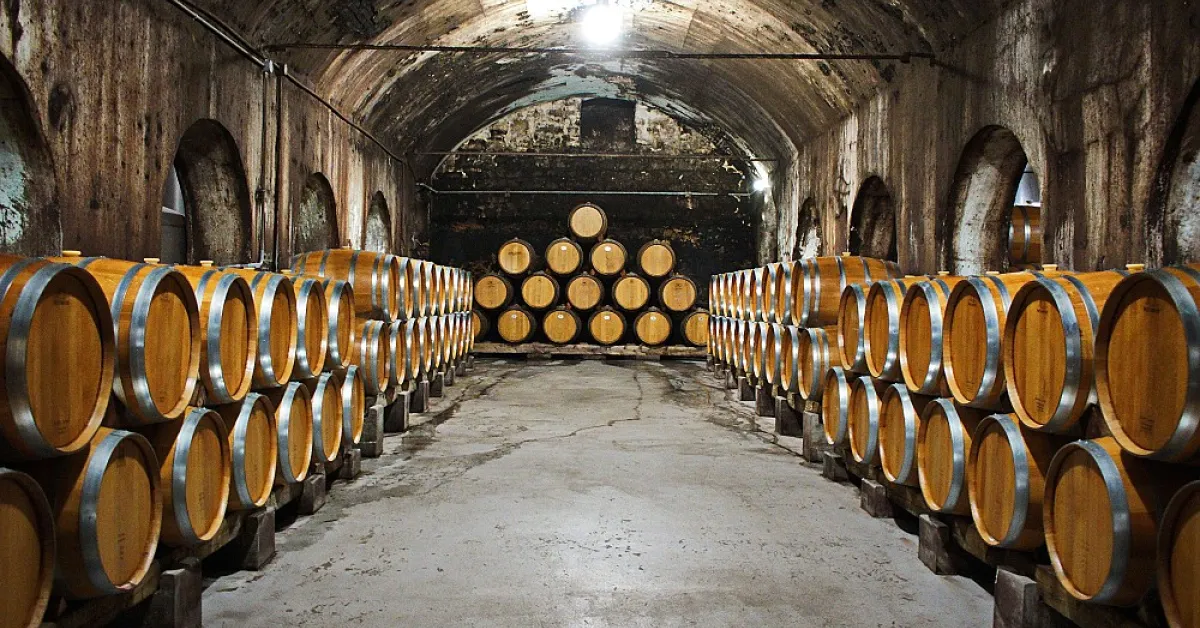 Comment la tequila fraise inspire l'innovation dans l'industrie du vin